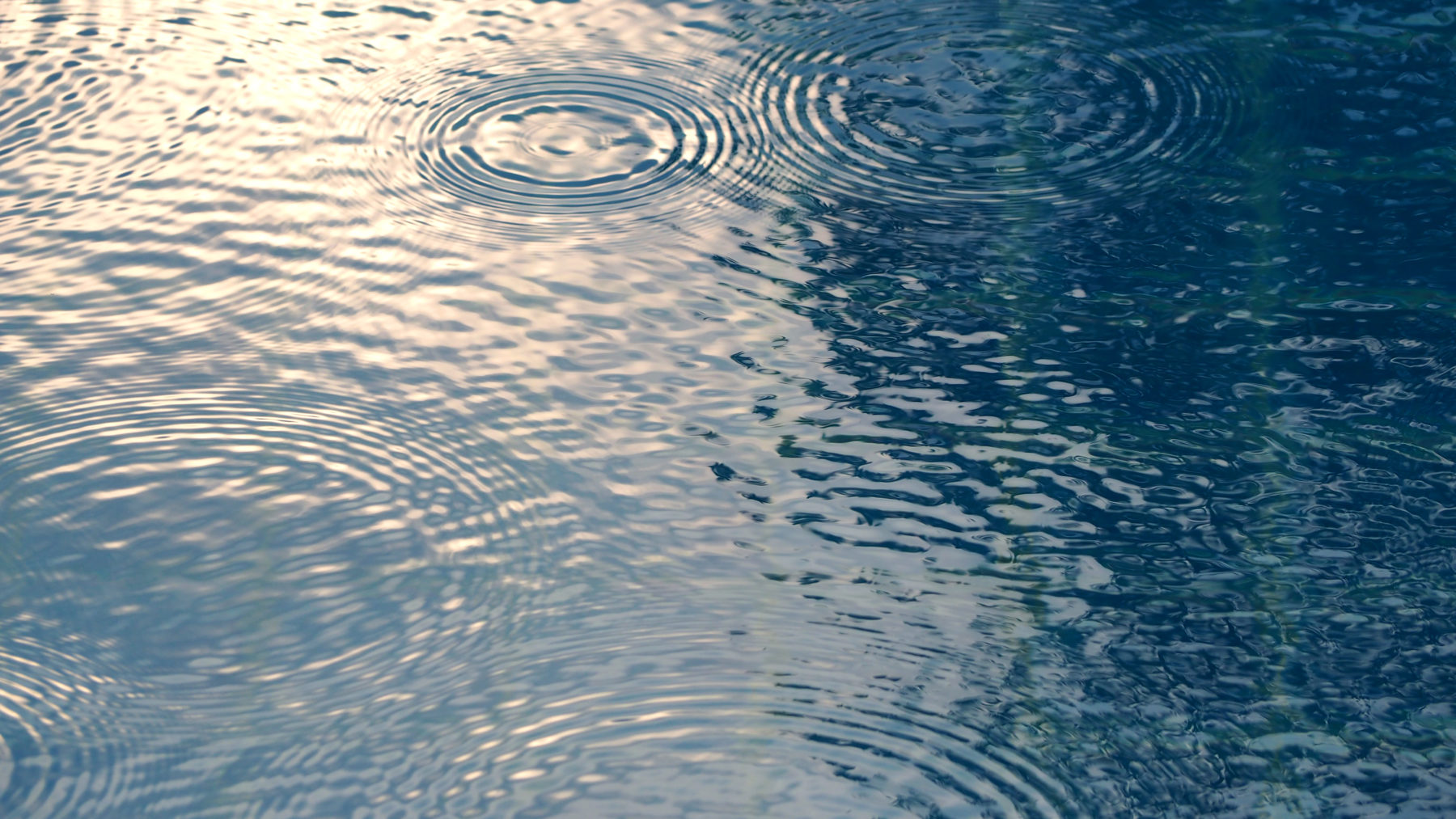 Rain Can Affect the Water in Your Swimming Pool – Know the Facts
